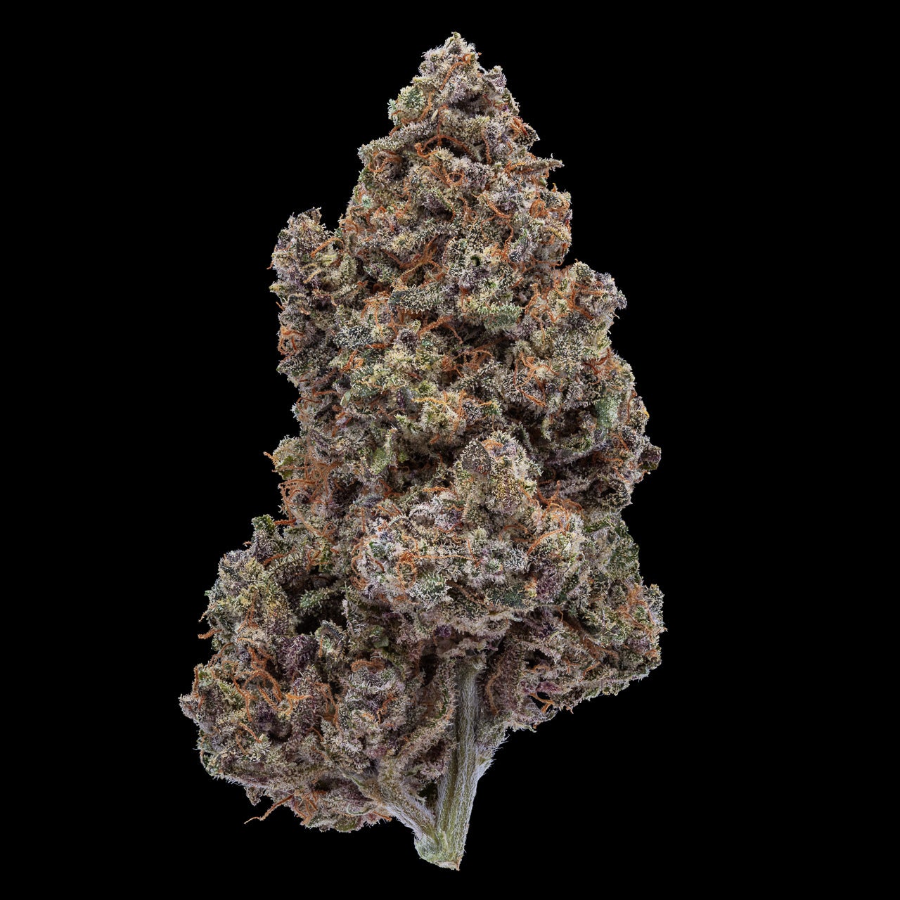 Legendary OG #3 CBD Flower | Necessity CBD